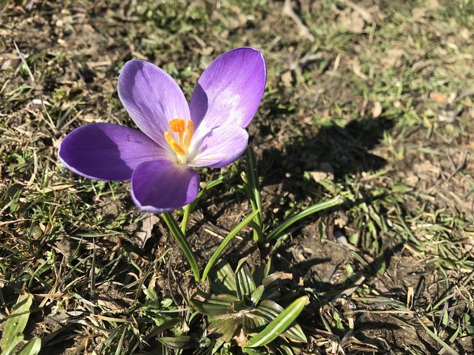 MariMargutti's Photos - ViewBug.com