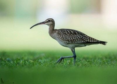 Popular Photos - ViewBug.com