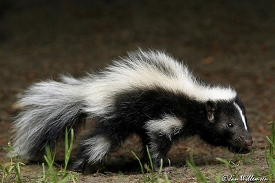 Popular Photos - ViewBug.com